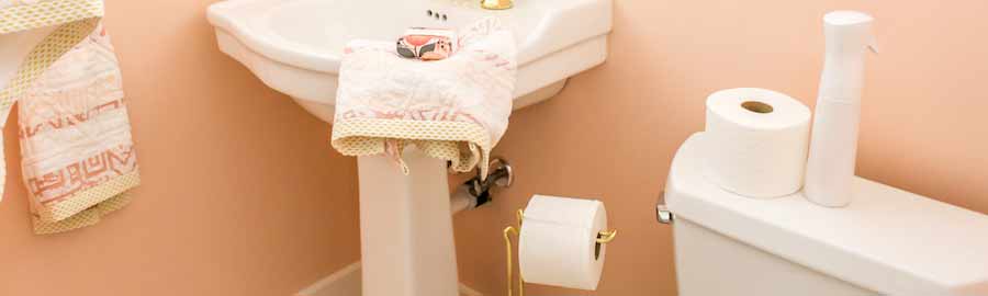 The Best Toilet Paper In The World For The Environment The Best Toilet Paper In The World For The Environment